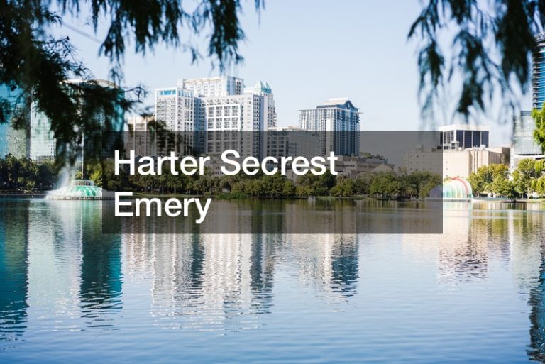 Harter Secrest Emery - Rochester Magazine